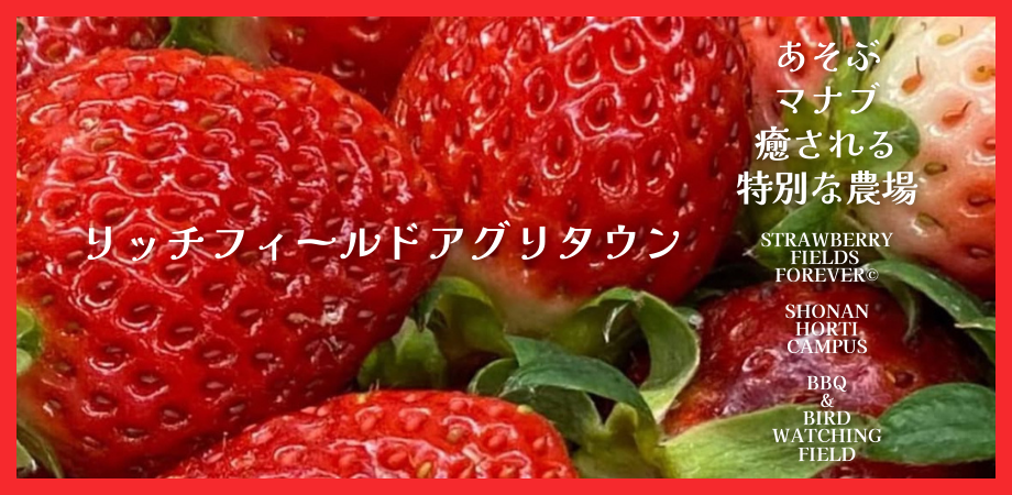 リッチフィールドアグリタウンへのお問合せ